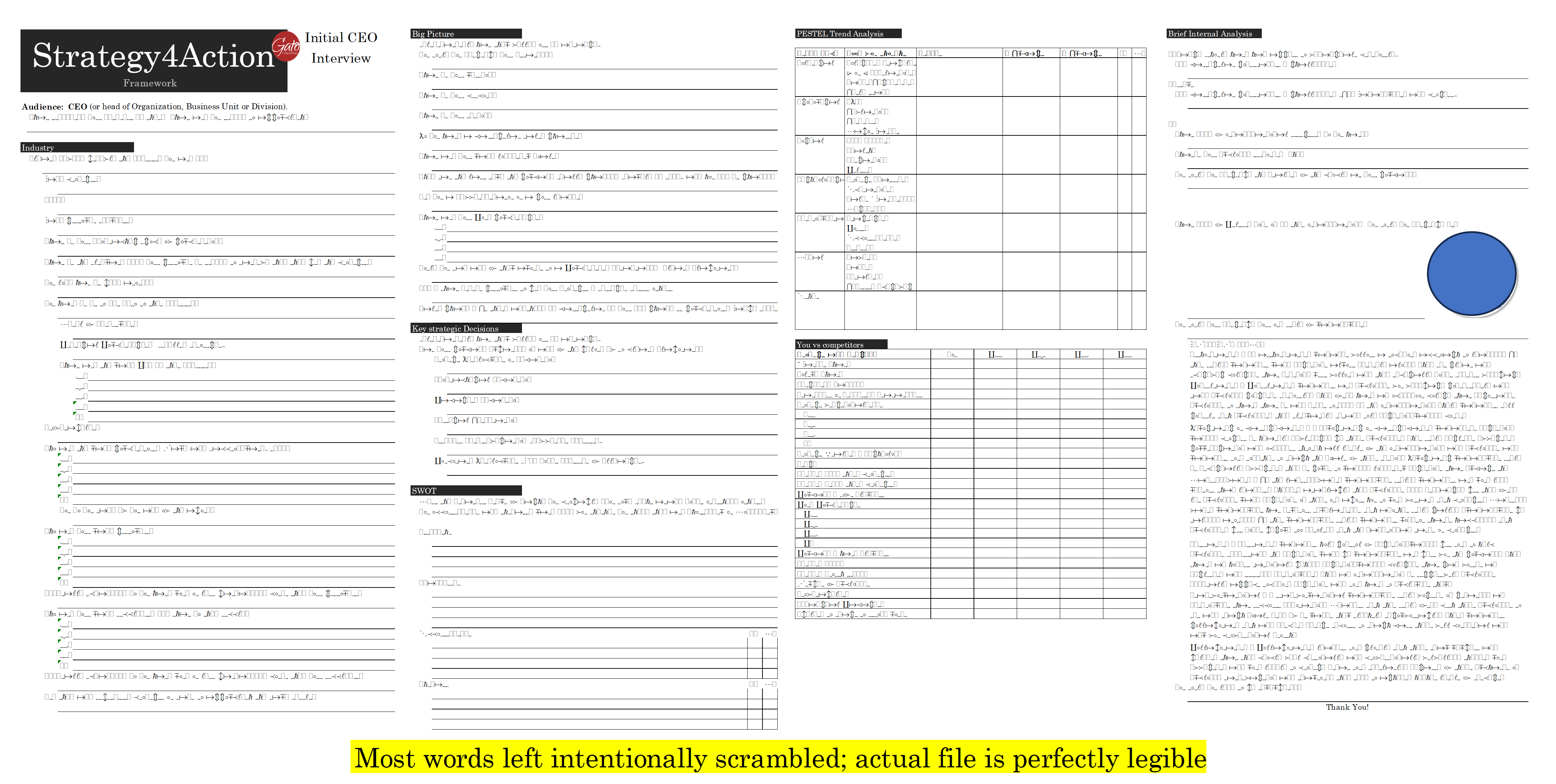 S4A0100+ - Preparation: Template for Initial CEO Interview Script ...